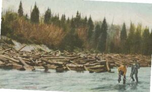 Logging Camps, River Drives, and Sawmills - Maine State Museum